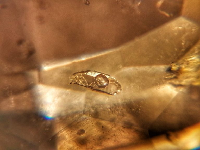 Three-Phase Inclusion in Goshenite - Danu Group