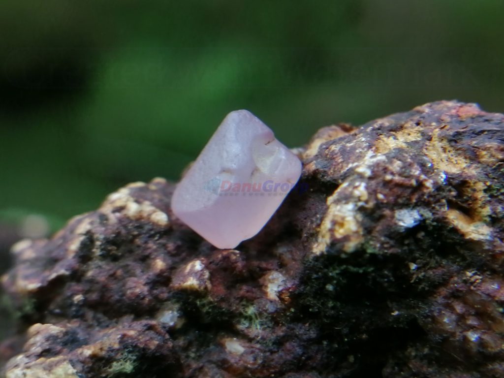 Natural Light Pink Spinel Octahedron Crystal Sri Lanka - Danu Group