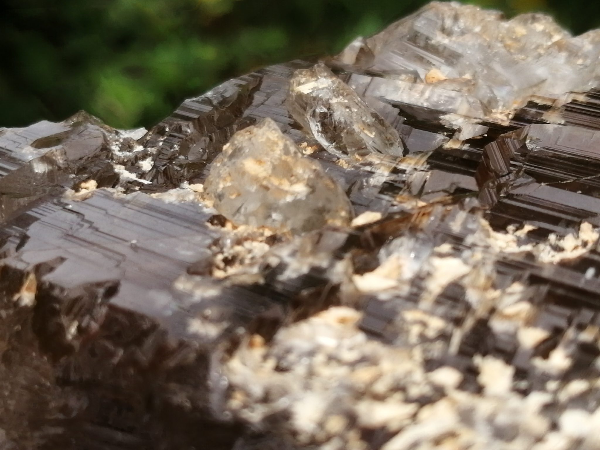 Ceylon Natural Quartz Crystal with Amazing Structure - Danu Group