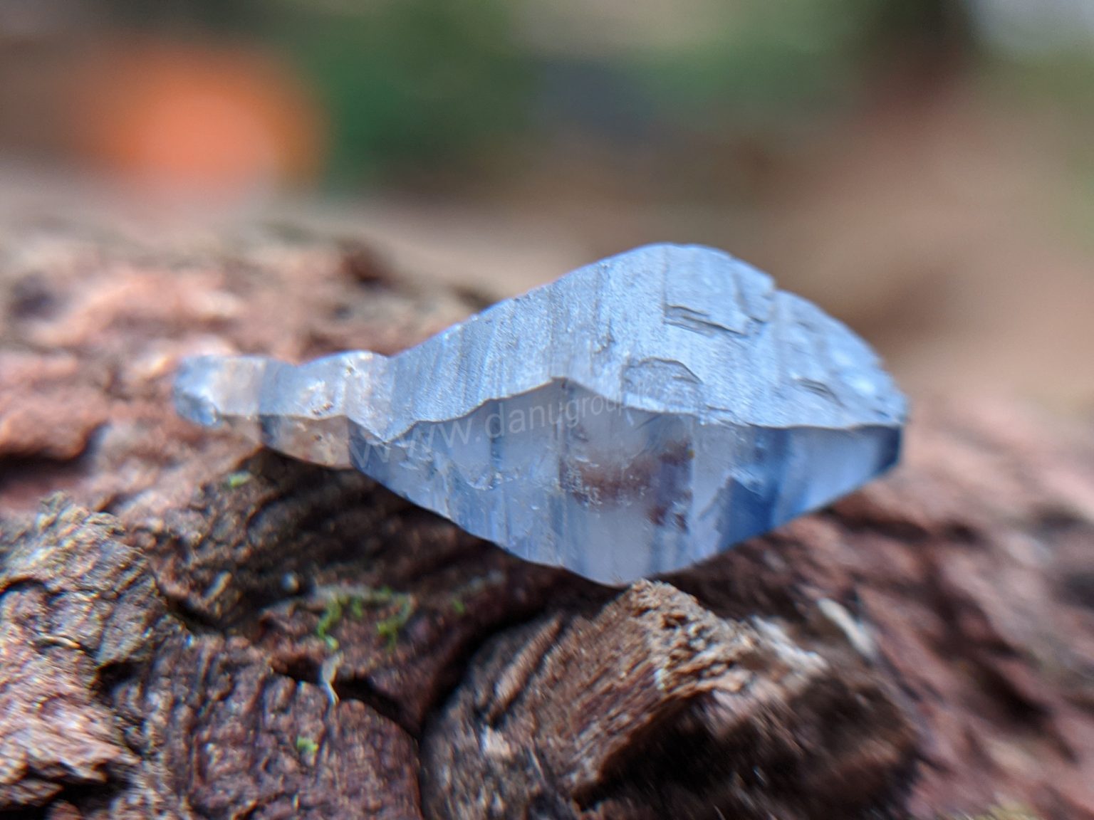 Ceylon Natural Sapphire Fish Crystal - Danu Group