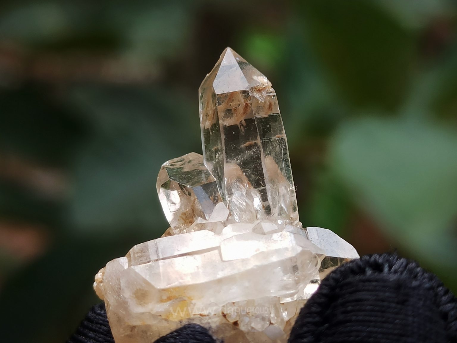 Ceylon Natural Quartz Crystal Cluster - Danu Group