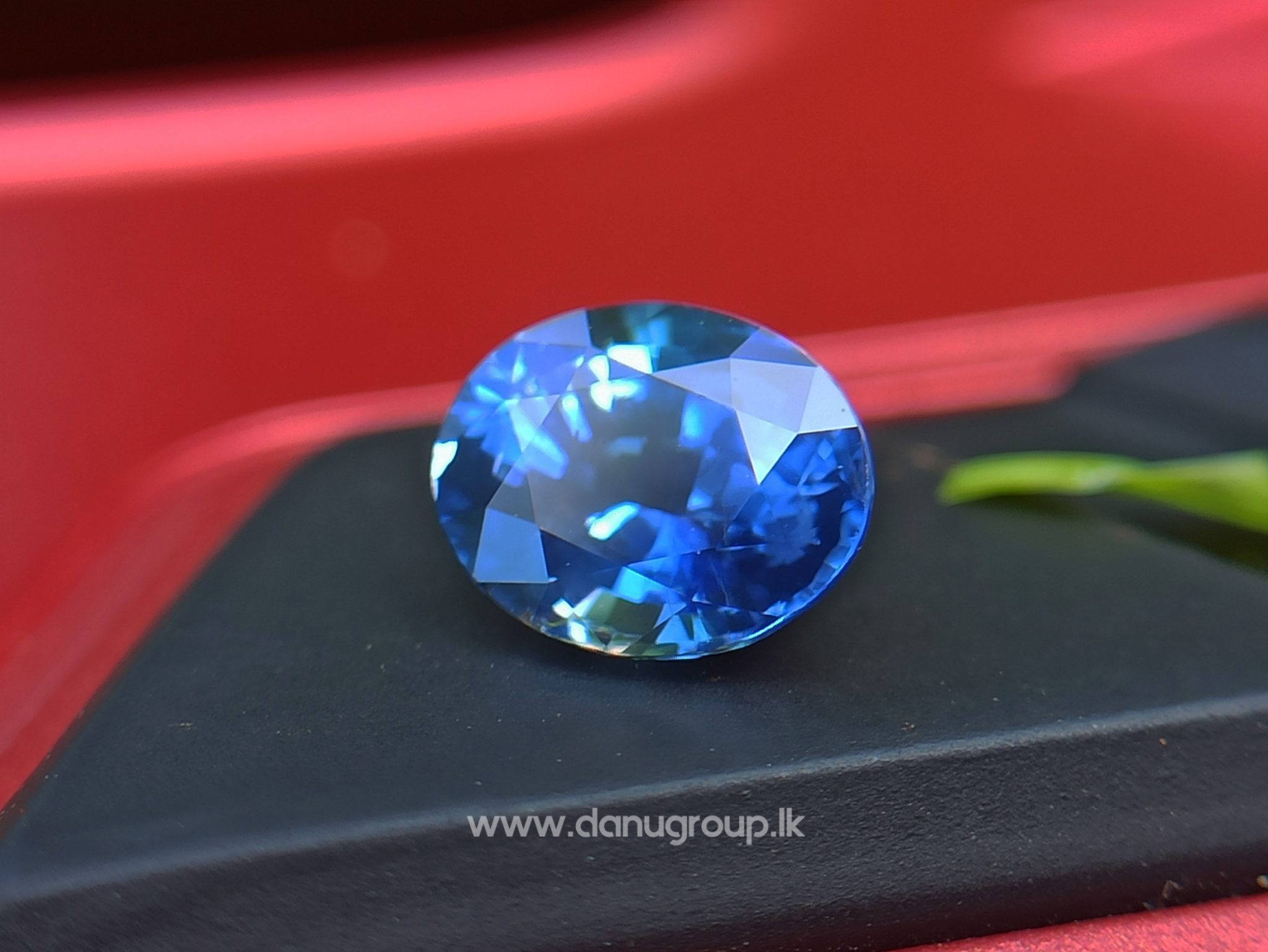 Ceylon Cornflower Blue Sapphire - Danu Group