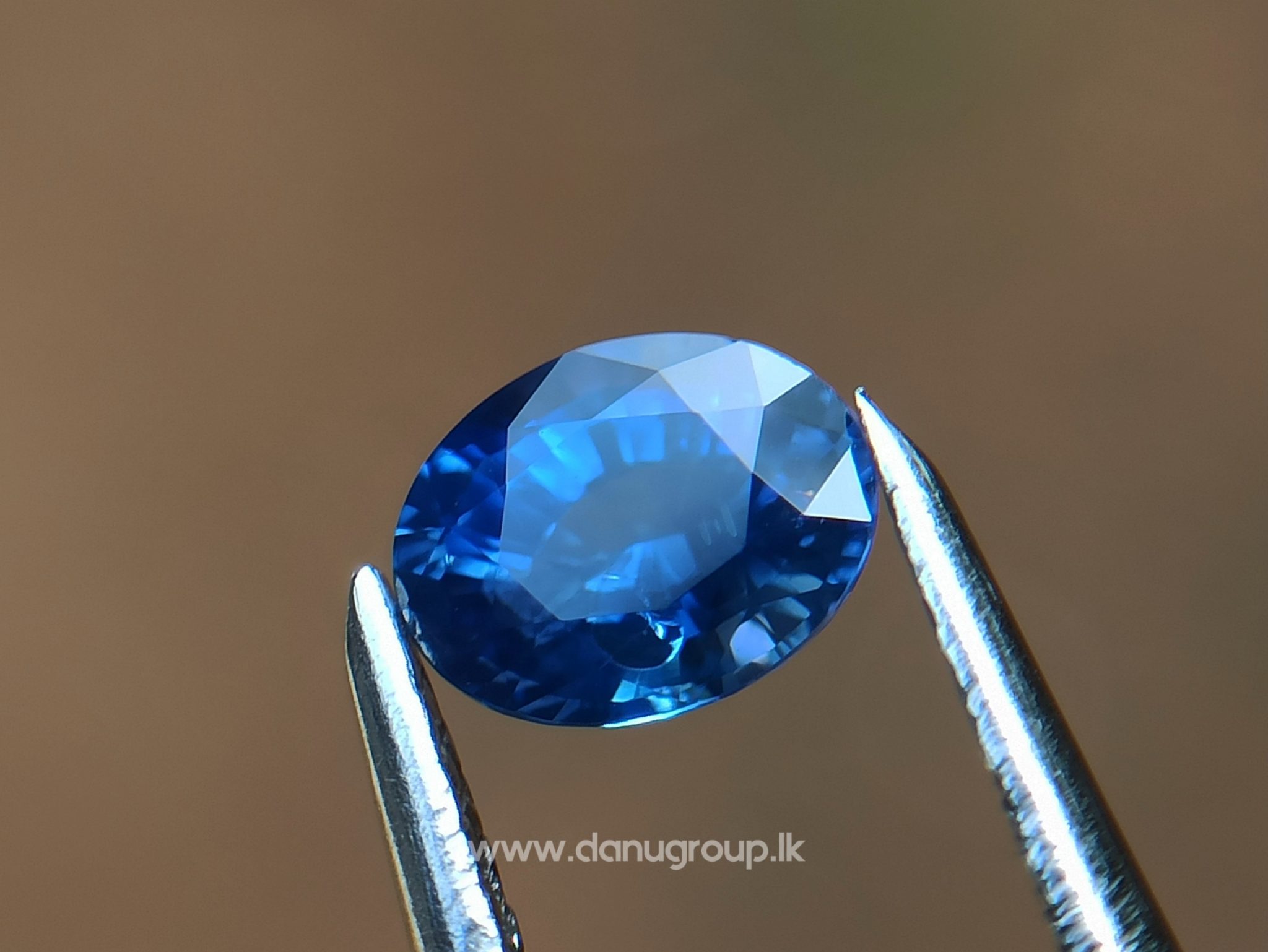 Ceylon Cornflower Blue Sapphire - Danu Group