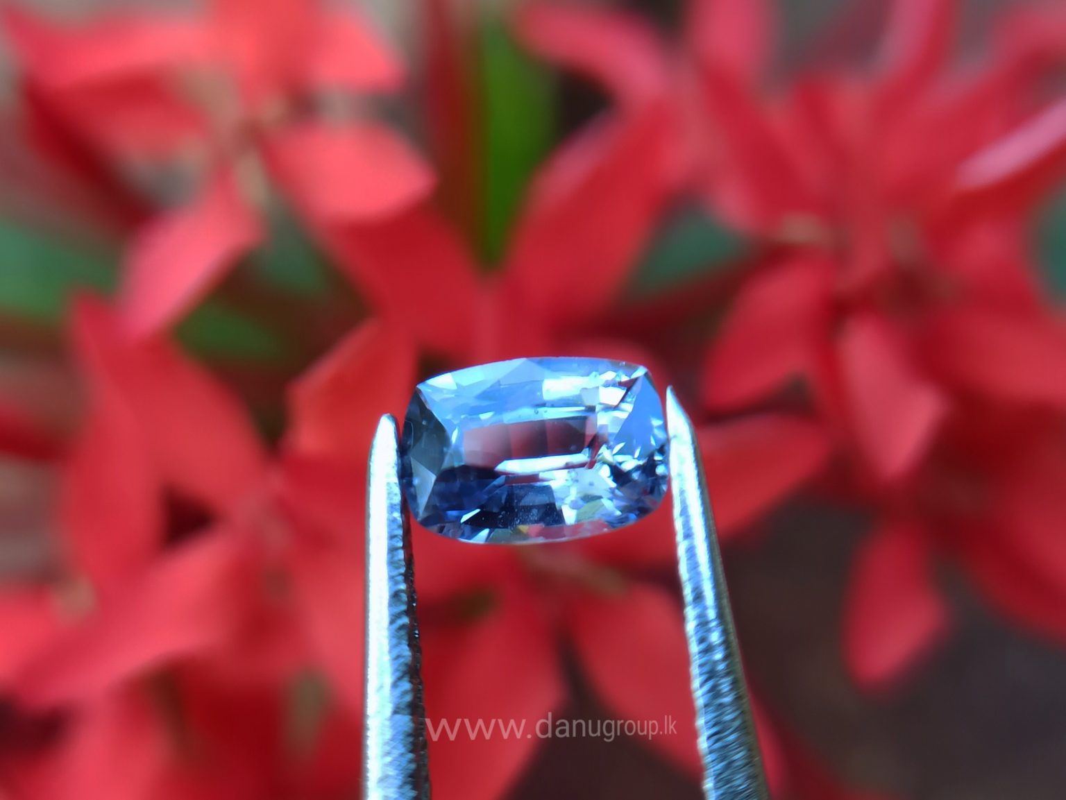 Ceylon Natural Light Blue Sapphire Pair - Danu Group