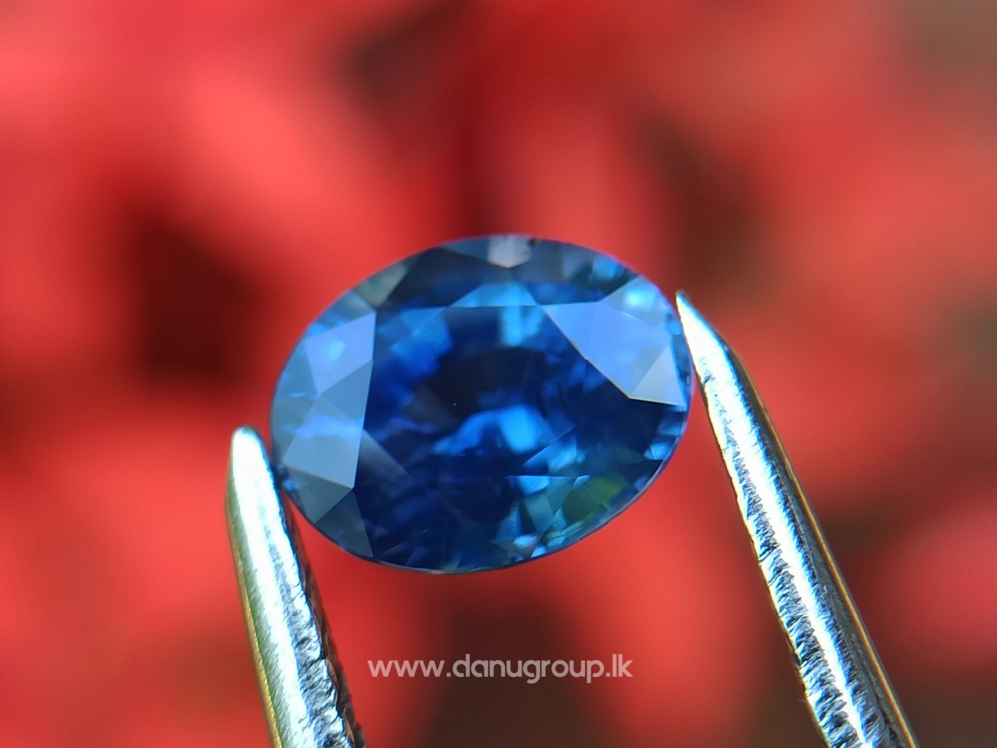 Ceylon Cornflower Blue Sapphire - Danu Group