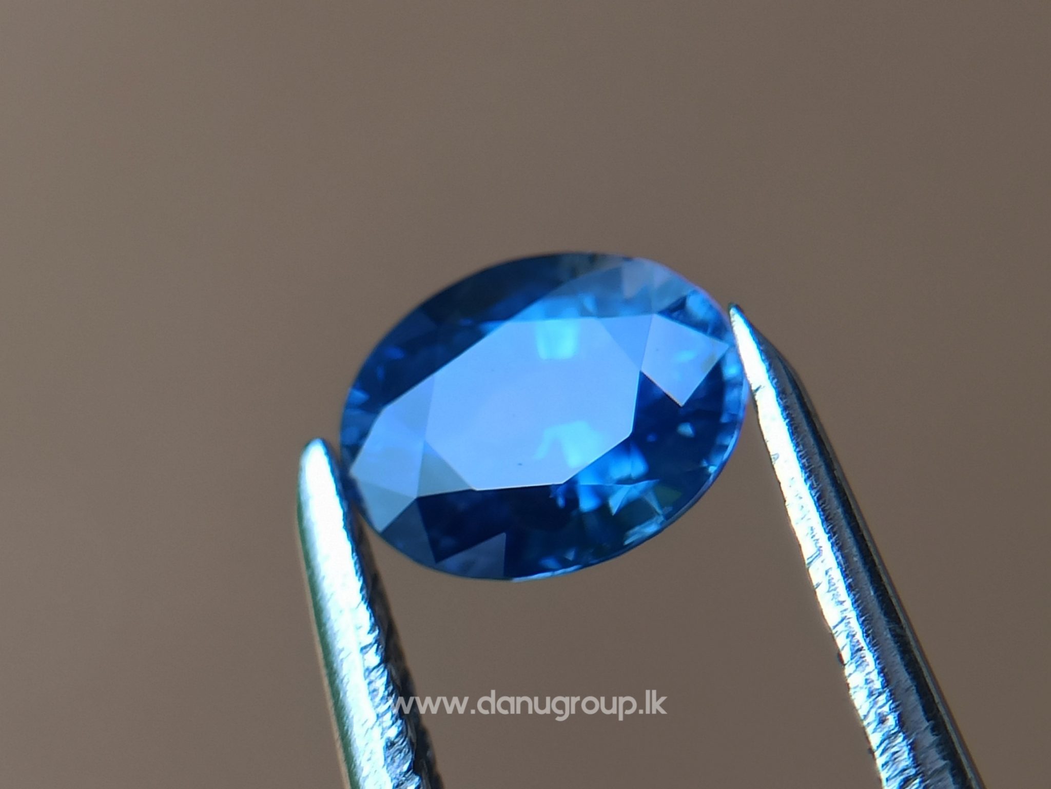 Ceylon Cornflower Blue Sapphire - Danu Group