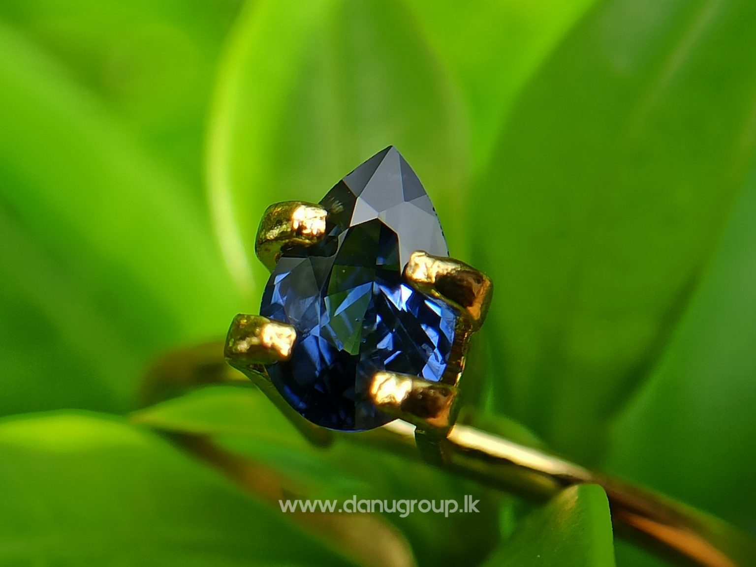 Ceylon Cornflower Blue Sapphire - Danu Group