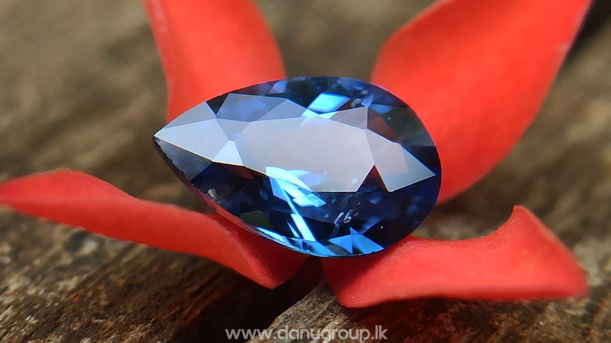 Ceylon Cornflower Blue Sapphire - Danu Group