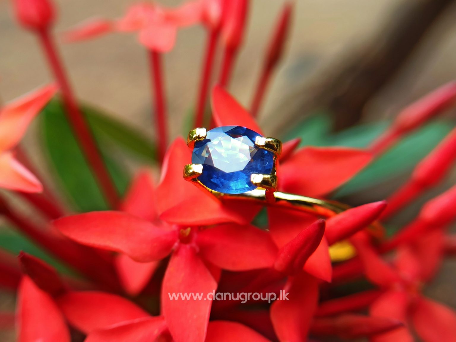 Ceylon Cornflower Blue Sapphire - Danu Group