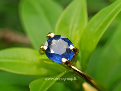 Ceylon Cornflower Blue Sapphire - Danu Group