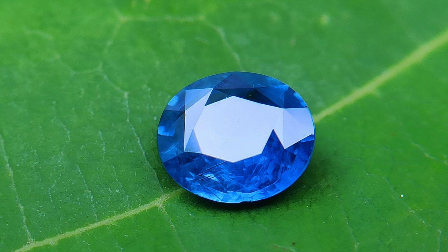 Ceylon Cornflower Blue Sapphire - Danu Group