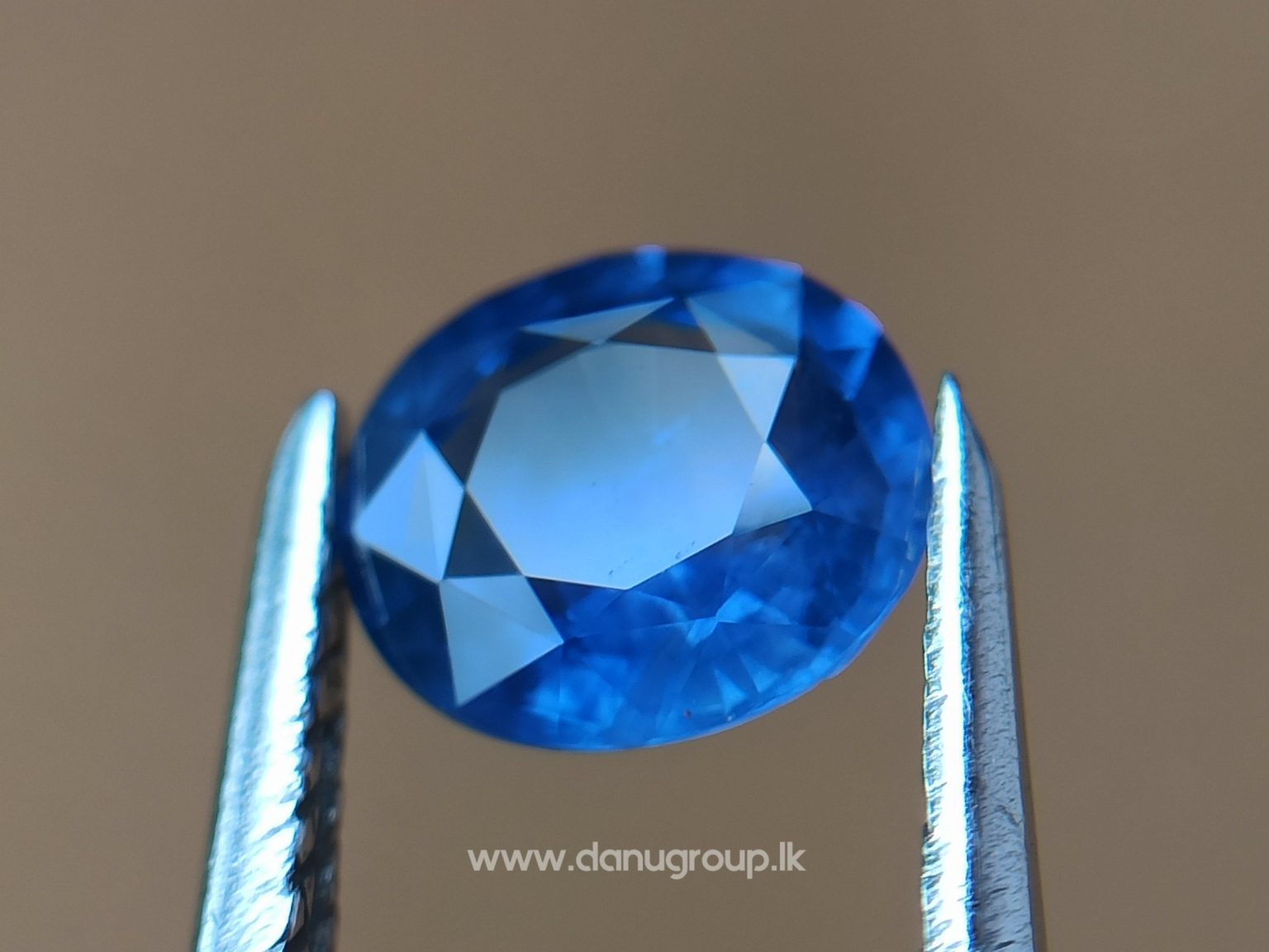 Ceylon Cornflower Blue Sapphire - Danu Group