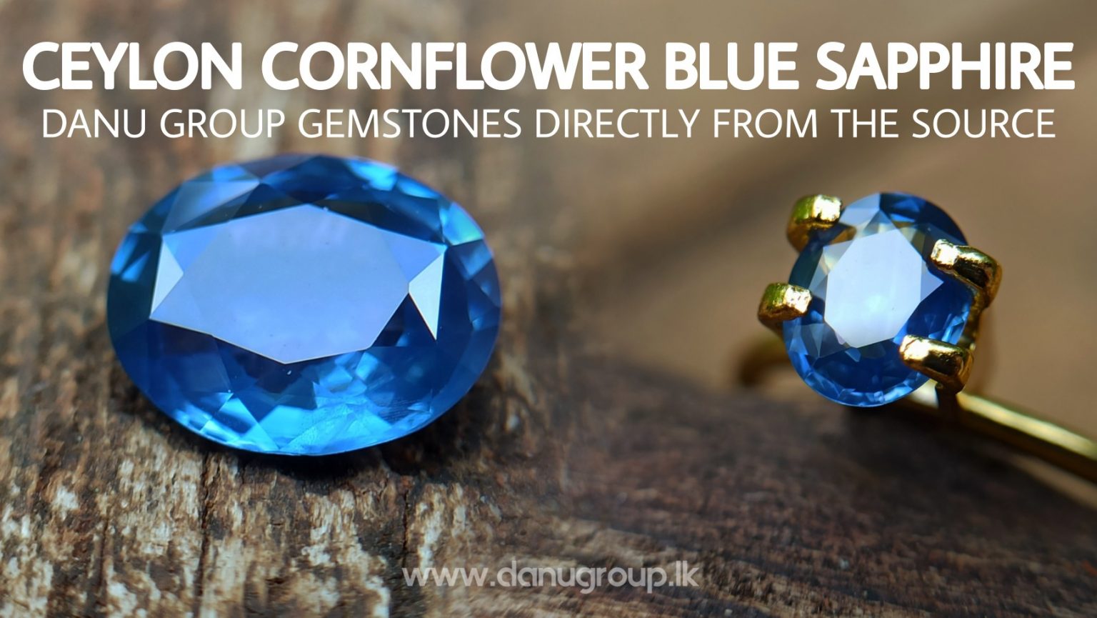 Ceylon Cornflower Blue Sapphire - Danu Group