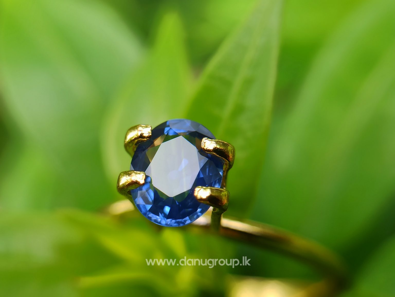 Ceylon Cornflower Blue Sapphire - Danu Group