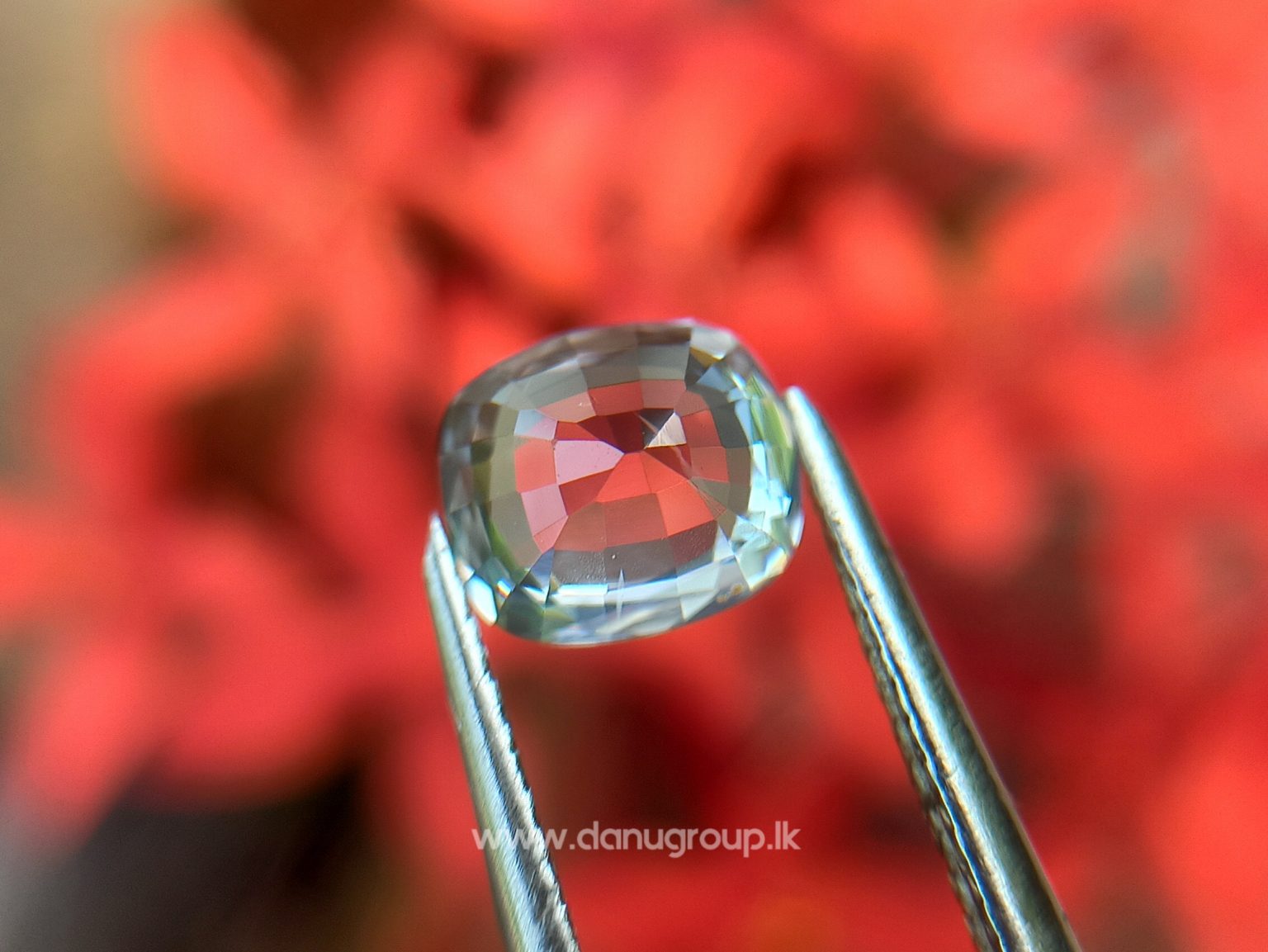 Ceylon White Sapphire - Danu Group