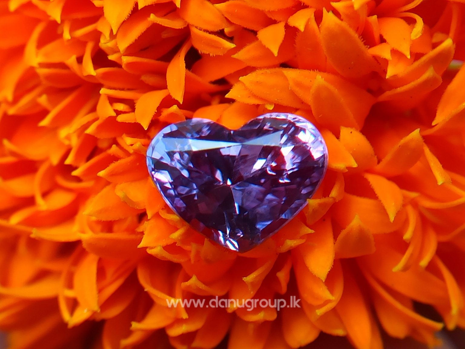 Natural Purple Sapphire Heart - Danu Group