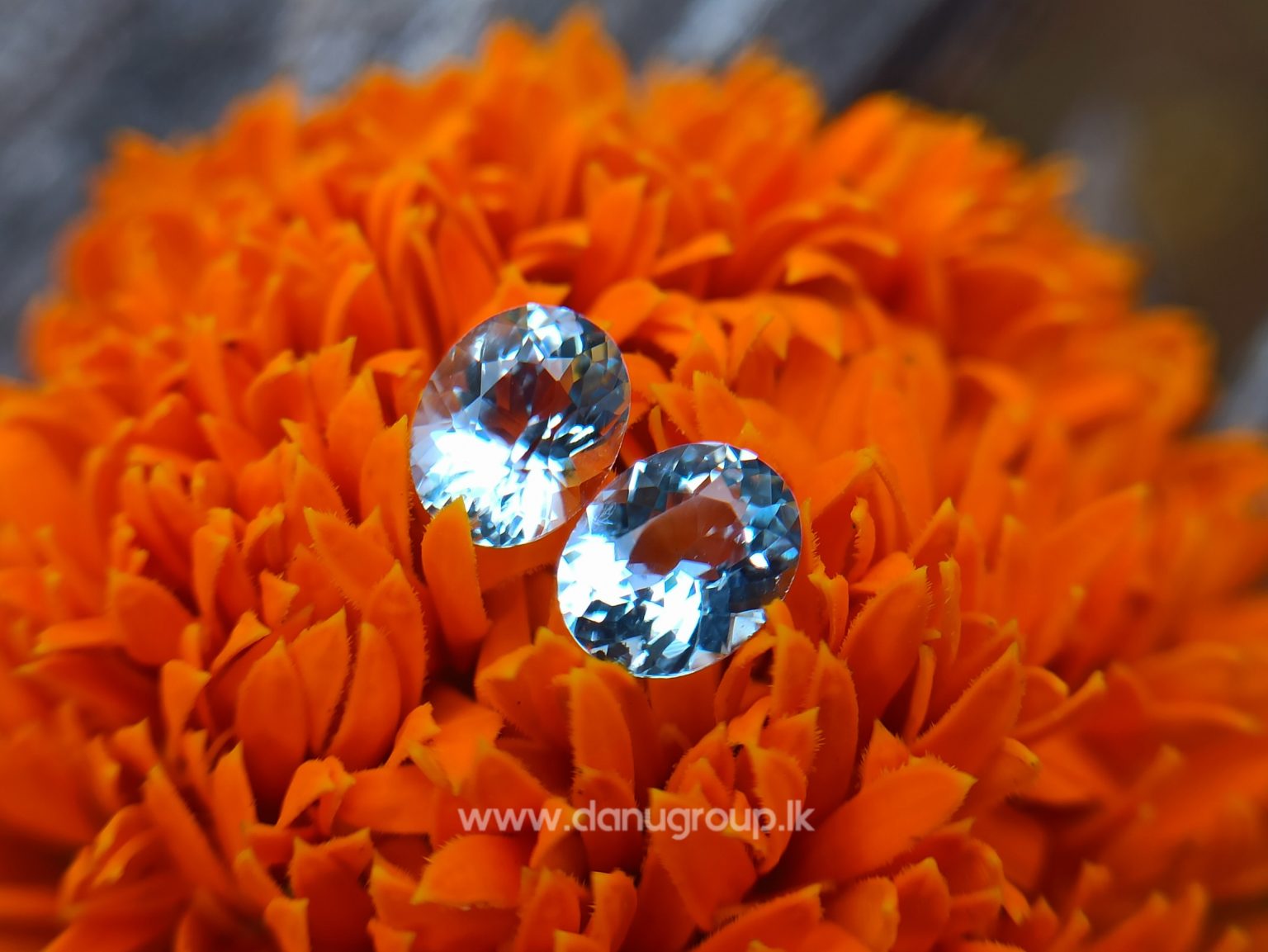 Sri Lankan Natural Light Blue Aquamarine Pair - Danu Group