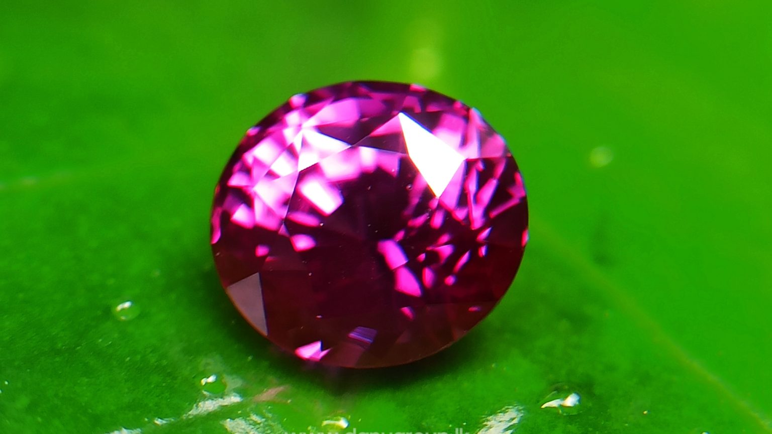 Danu Group - Ceylon Natural Gemstones Online Store