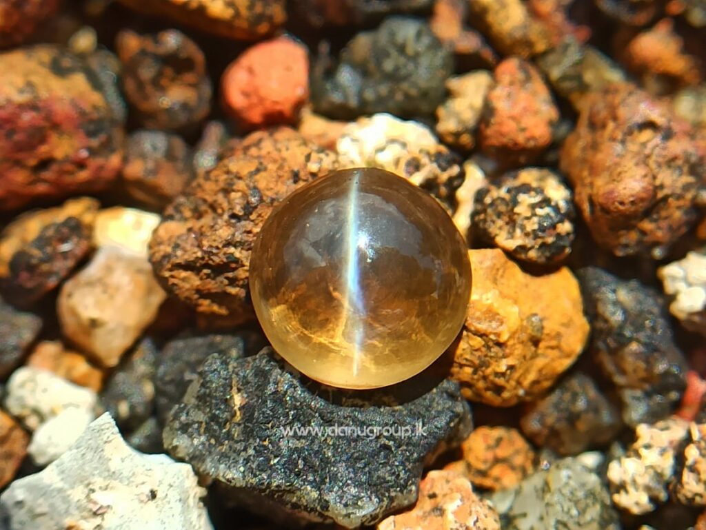 Ceylon Natural Chrysoberyl Honey Color Cats eye - Danu Group
